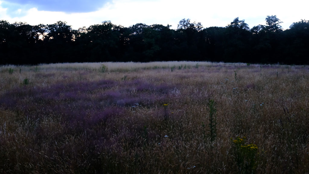 Talking books with Michael Boyden - The ARCHAIC