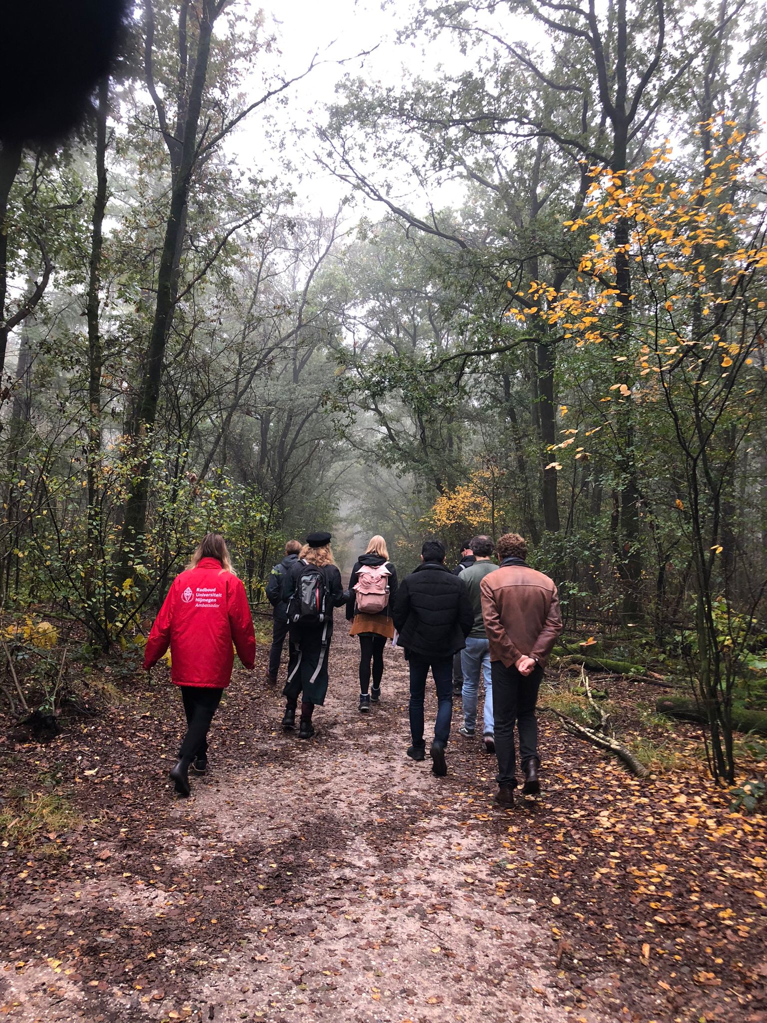 Review "Deep Time Walk" at ESG - The ARCHAIC